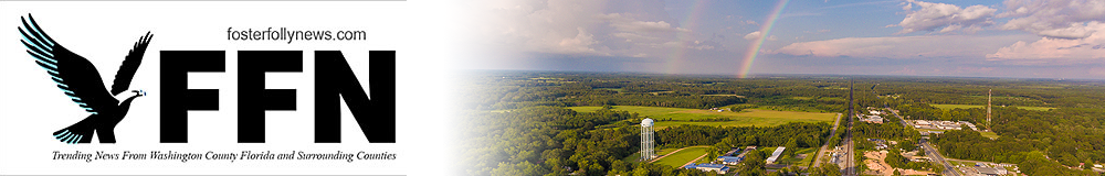 Foster Folly News: Contact Information, Journalists, and Overview ...