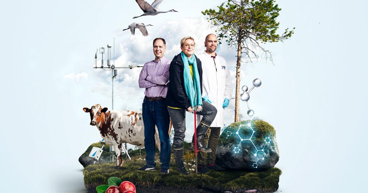 luke.fi: Contact Information, Journalists, and Overview | Muck Rack