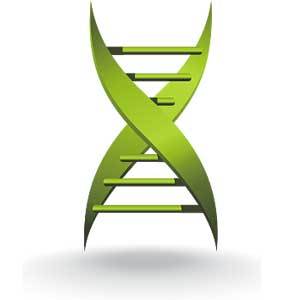 Medical Xpress: Contact Information, Journalists, and Overview | Muck Rack