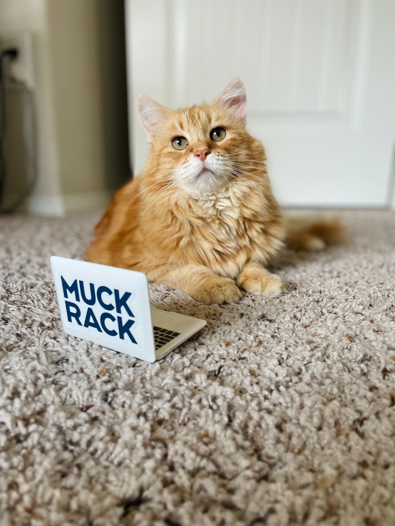 Working from home: Peek inside the home offices of Muck Rack’s ...