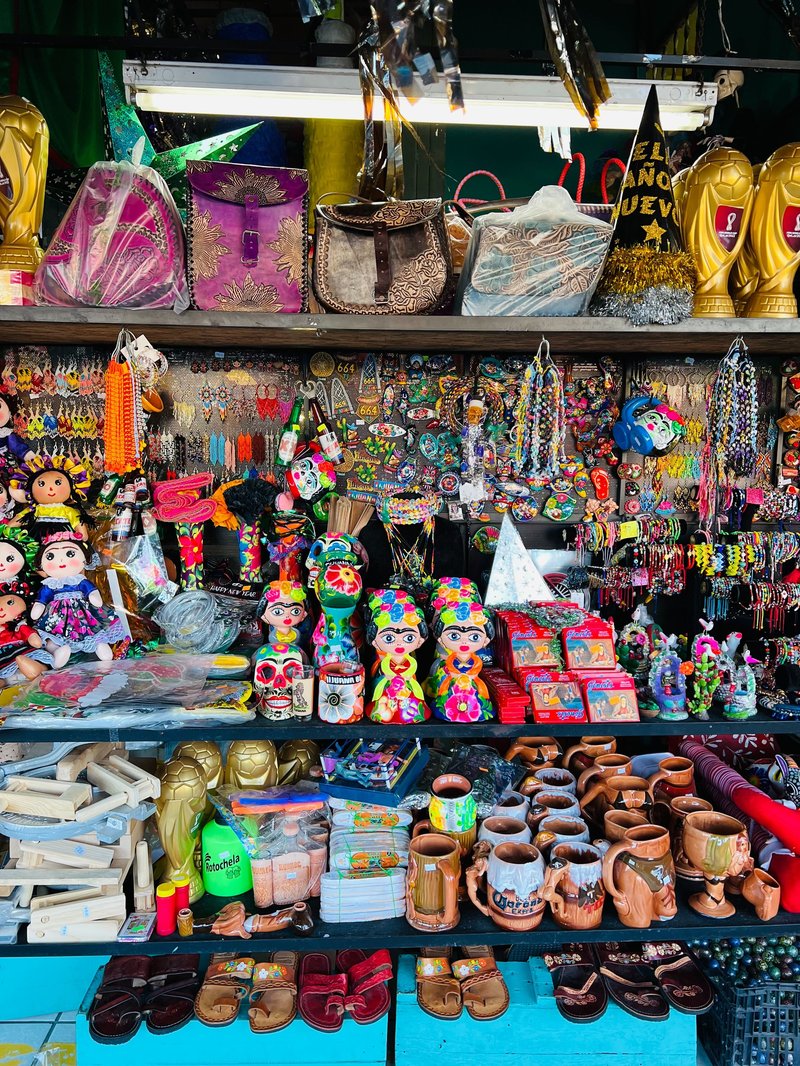 Meet the Muck Rack team: Get to know Camila Rochin, account executive ...