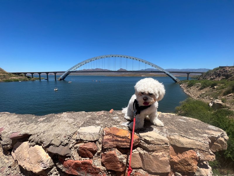 Meet the Muck Rack team: Get to know Camila Rochin, account executive ...