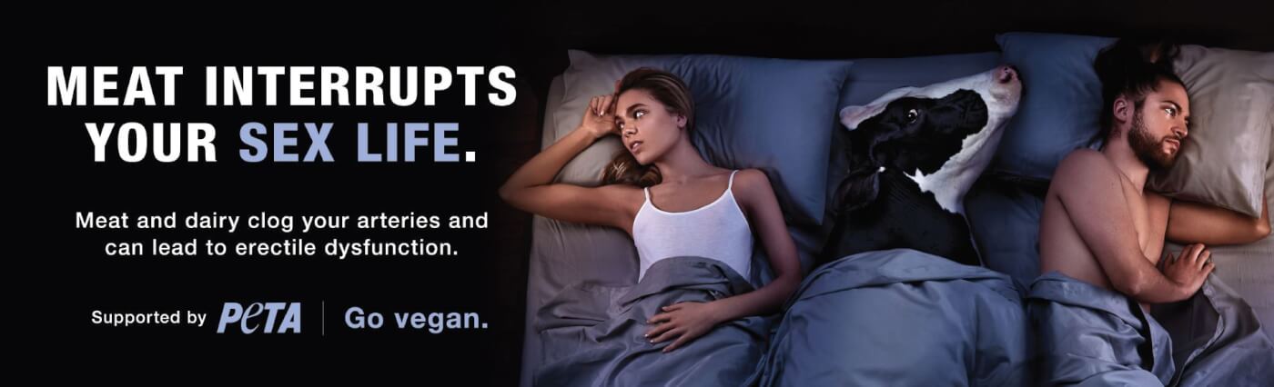 Steakhouse’s Bizarre Bo Bichette Bribe Attempt Prompts PETA Add-On ...