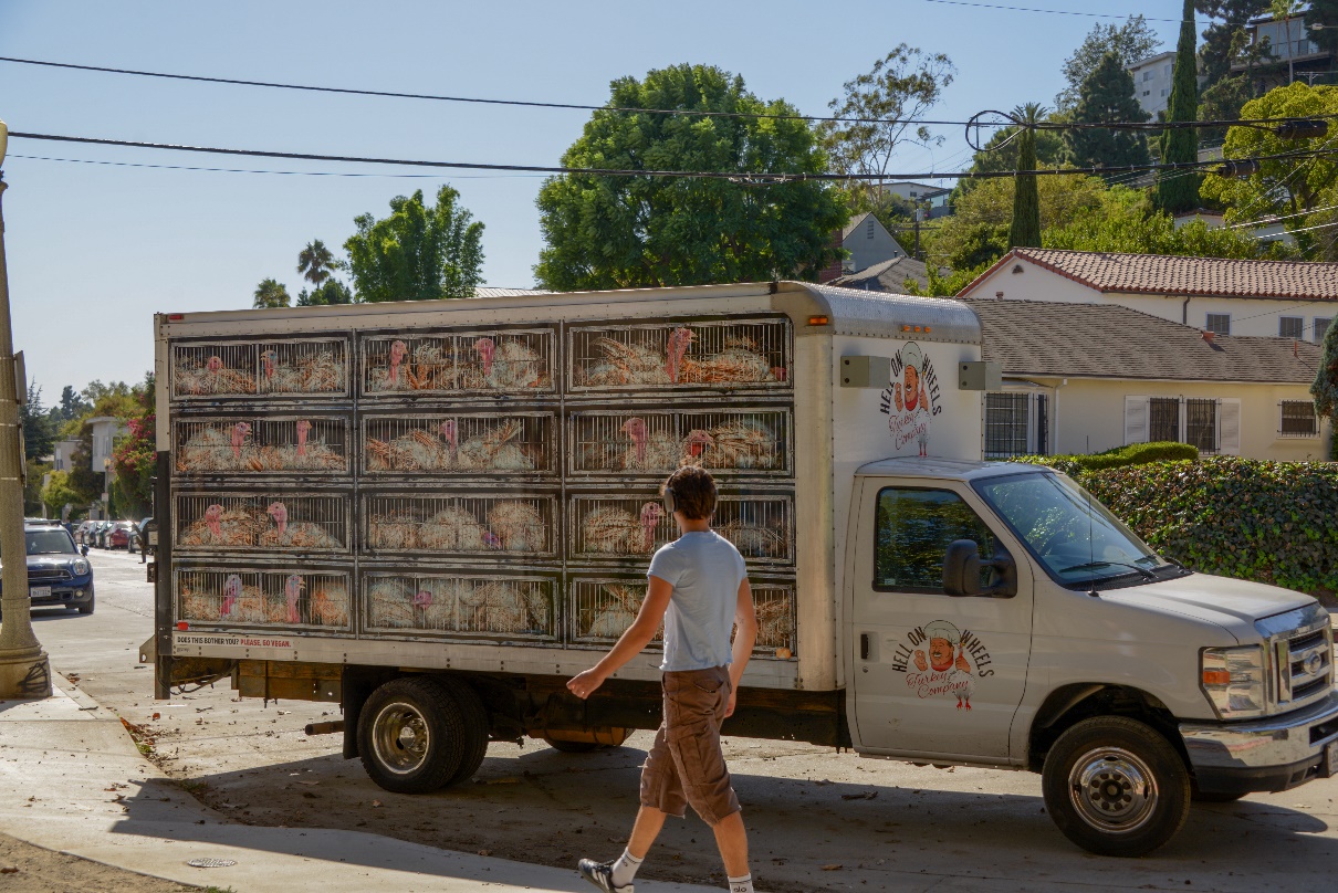 ‘Hell on Wheels’ Coming to Huntington Church: PETA’s Controversial ...