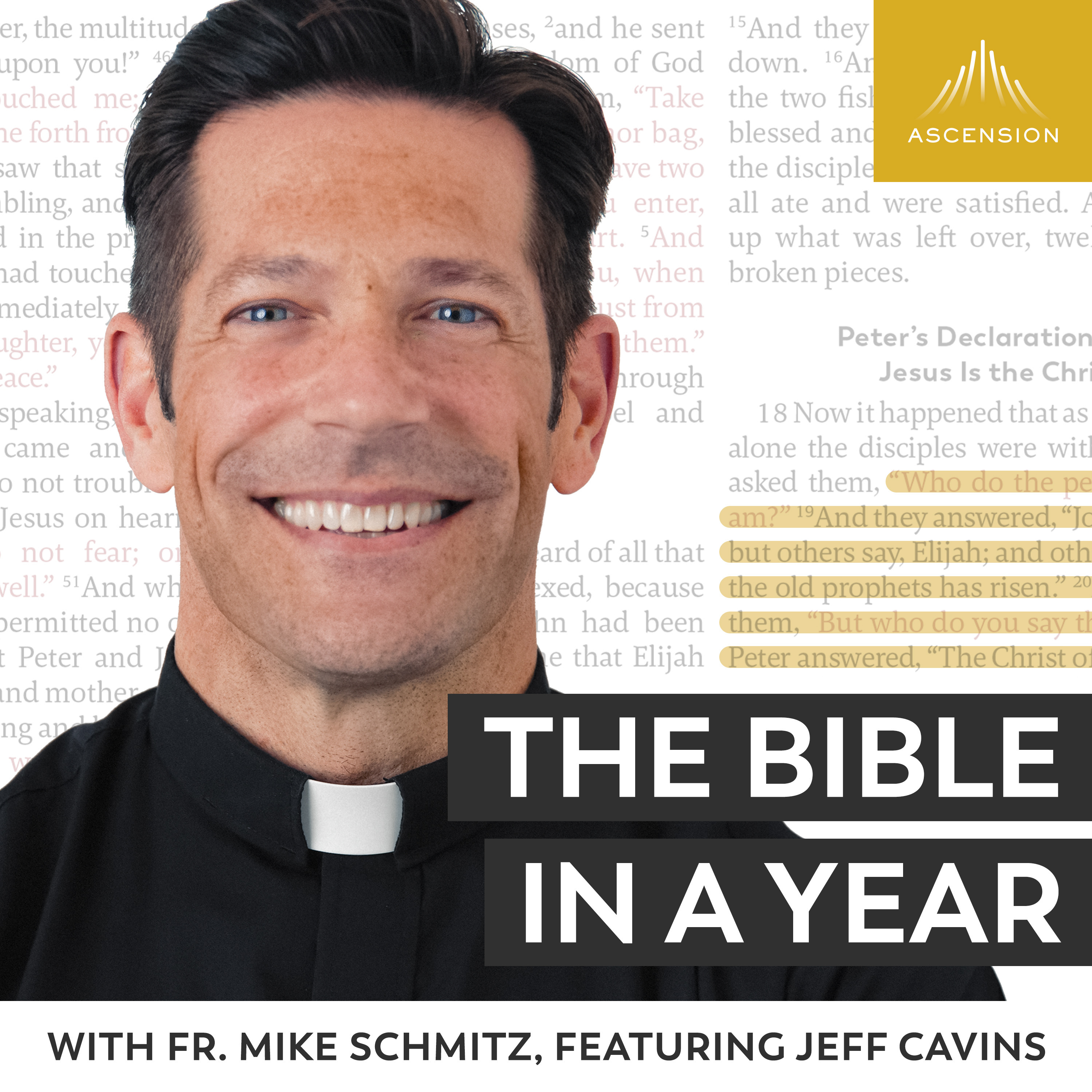 Muck Rack | The Bible in a Year (with Fr. Mike Schmitz) - Day 24: Tears ...