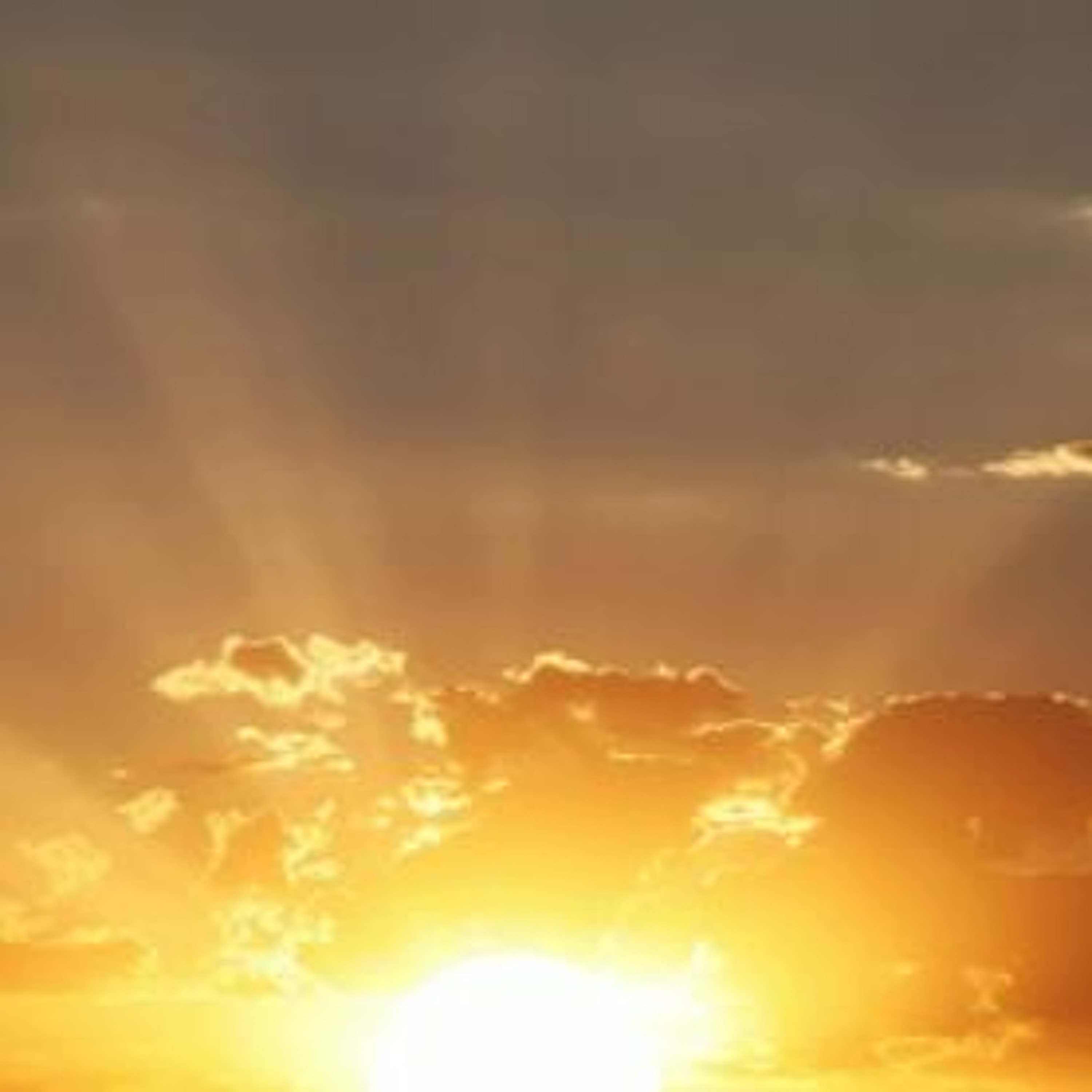 Muck Rack | The Zen Group of Western Australia - 2022 Opening Words ...