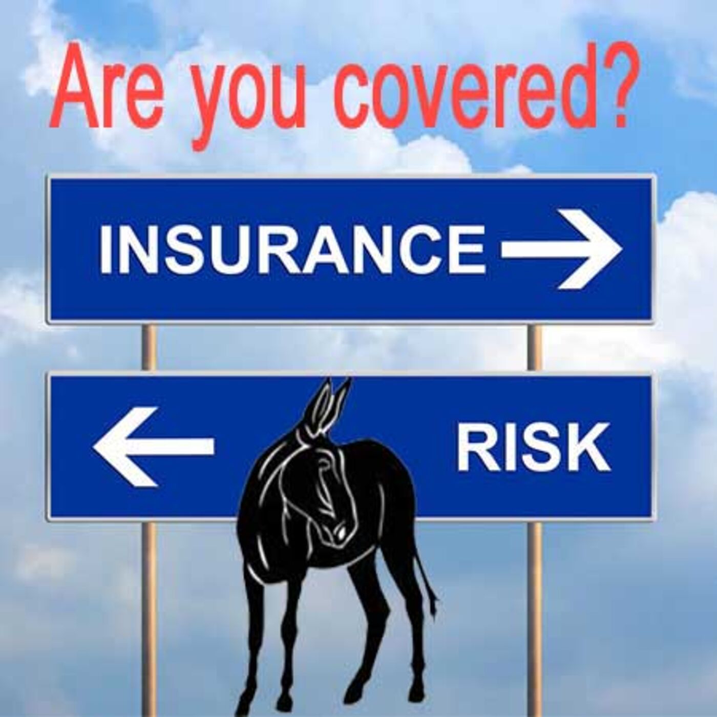 Muck Rack | MULE TALK! THE PODCAST ABOUT MULES, MULE TRAINING, AND THE ...