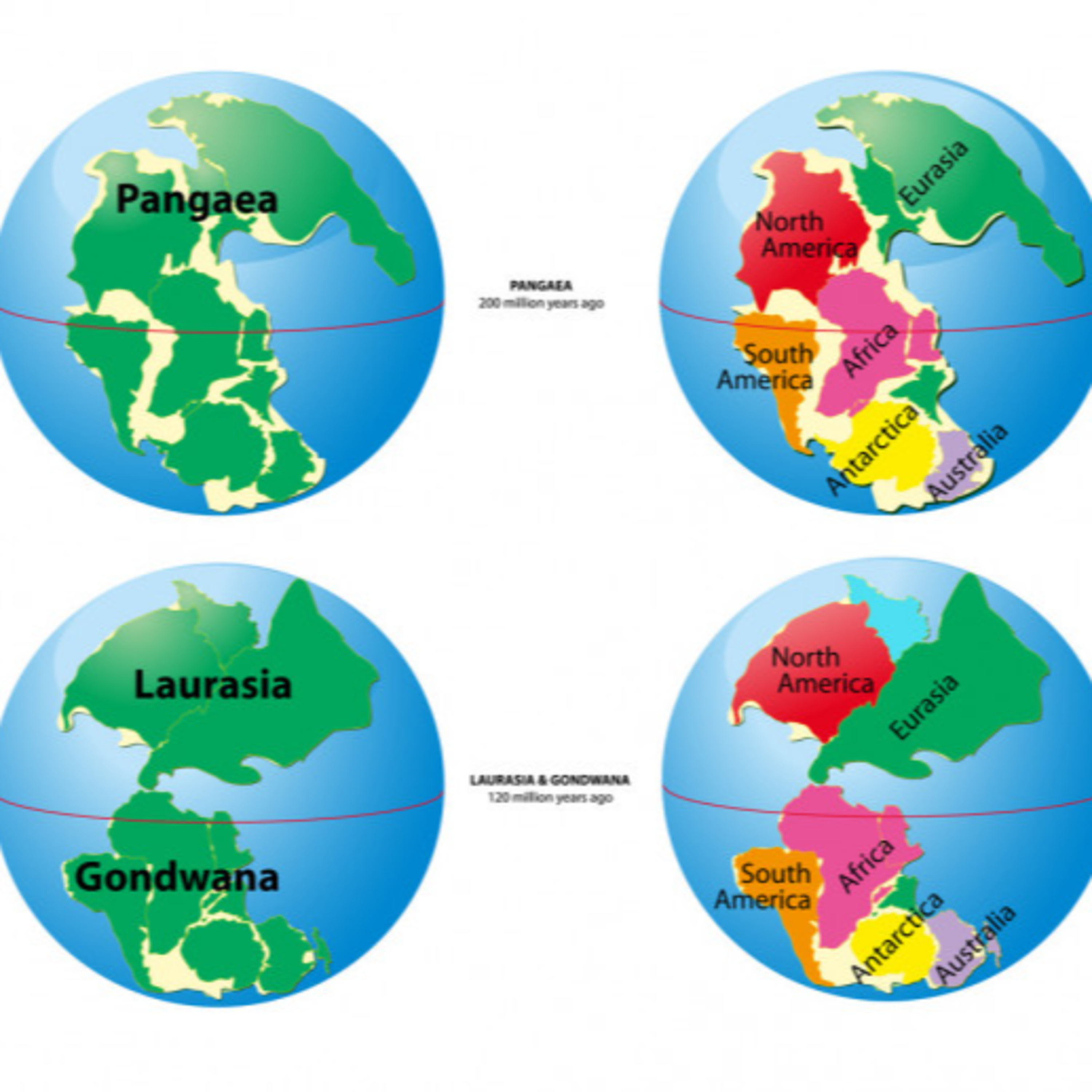 Muck Rack | Geografia em Pauta - Professor Rogerdautry - #53 - A Pangeia e o futuro ...