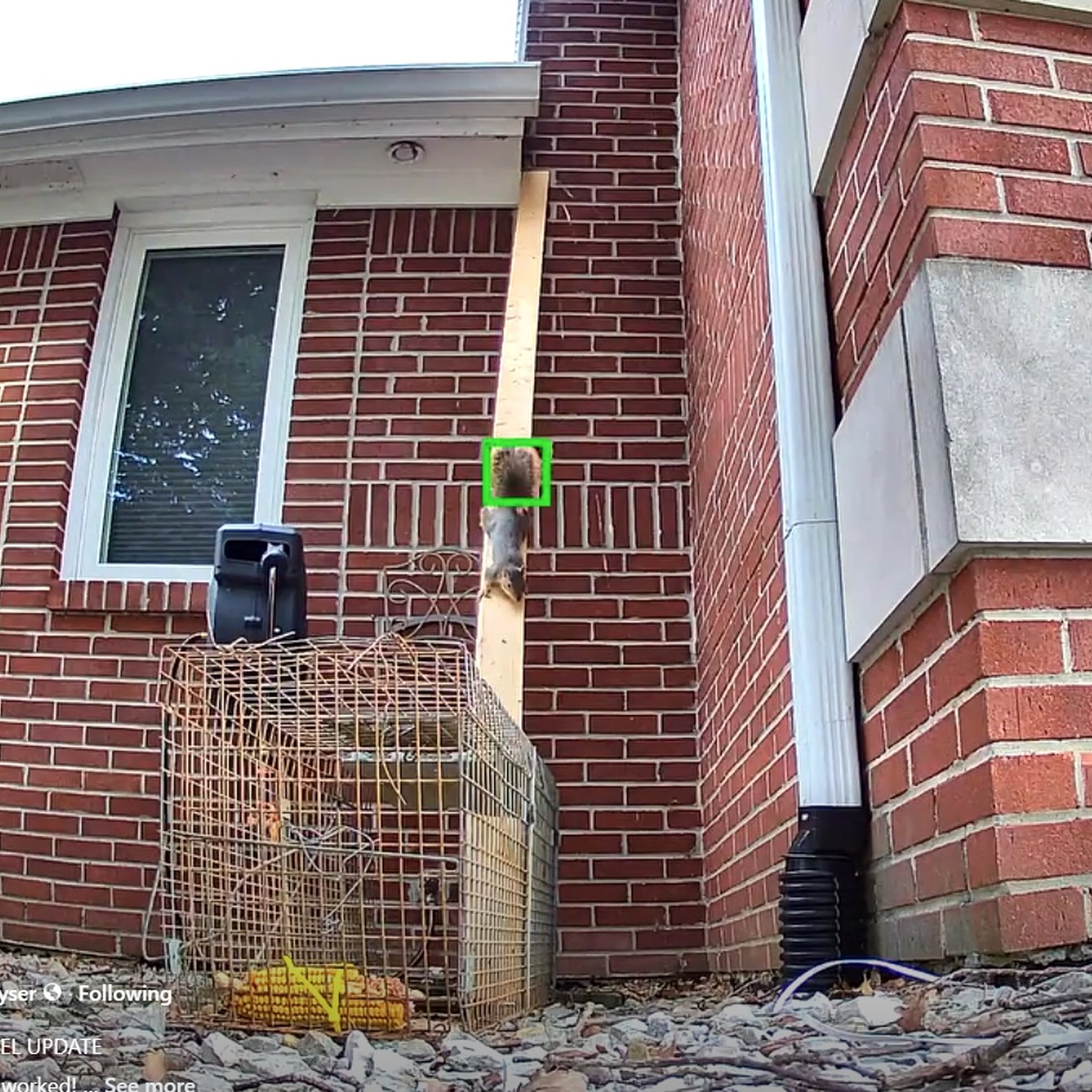 Muck Rack | Smiley Morning Show - OPERATION ELIMI-SQUIRREL UPDATE ...