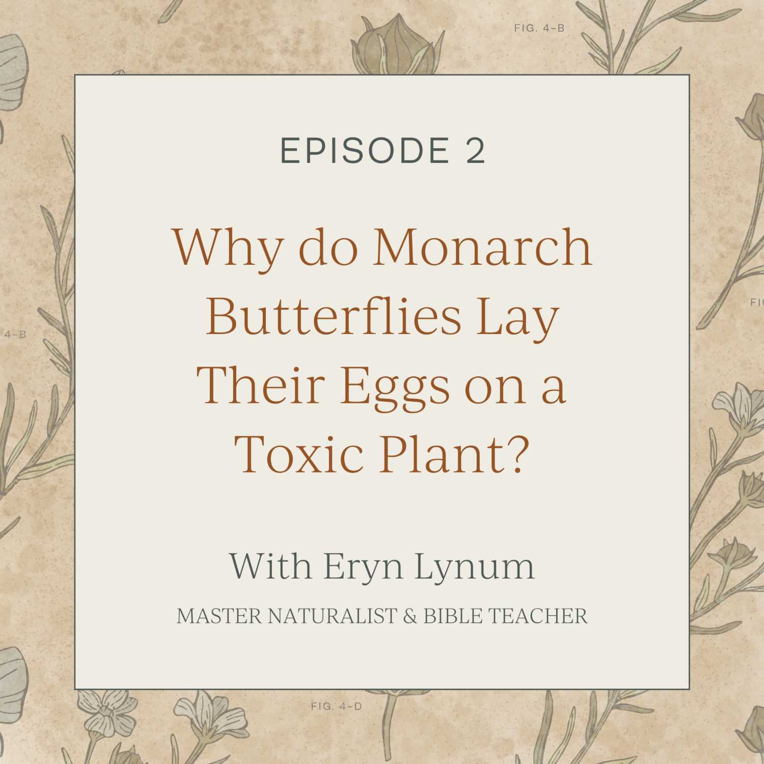 Muck Rack | Nat Theo Nature Lessons Rooted in the Bible - Why do ...