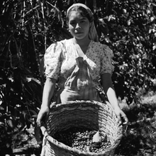 Catherine Lima’s Profile | Freelance Journalist | Muck Rack