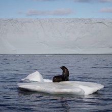 Monisha Ravisetti’s Profile | SPACE.com Journalist | Muck Rack