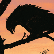 Michelle Mastro’s Profile | Freelance Journalist | Muck Rack