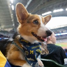 Michelle Mastro’s Profile | Freelance Journalist | Muck Rack