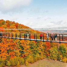 Michelle Mastro’s Profile | Freelance Journalist | Muck Rack