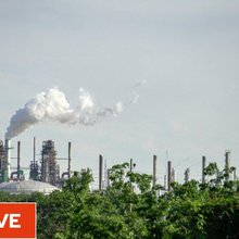 Freya Graham’s Profile | A Little Insight Journalist | Muck Rack