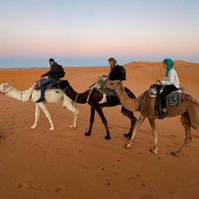 Jamie Davis Smith’s Profile | Freelance Journalist | Muck Rack