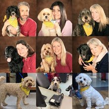 Georgina Findlay’s Profile | TLDR News Journalist | Muck Rack