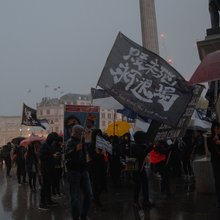 Georgina Findlay’s Profile | TLDR News Journalist | Muck Rack