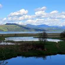 Emma Ricketts’s Profile | Stuff.co.nz, Medill News Service, Inside ...