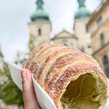 Alexandra Caspero’s Profile | Delish Knowledge Journalist | Muck Rack