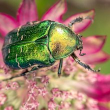 Sade Agard’s Profile | Interesting Engineering Journalist | Muck Rack