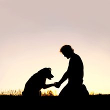 Peter Roff’s Profile | Newsweek Journalist | Muck Rack