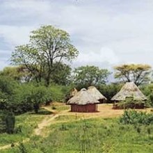 Tapiwa Zivira’s Profile | The Standard Zimbabwe Journalist | Muck Rack