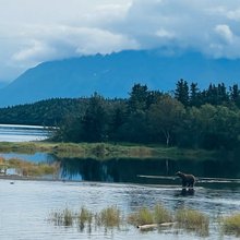 Emily Pogue’s Profile | Freelance Journalist | Muck Rack