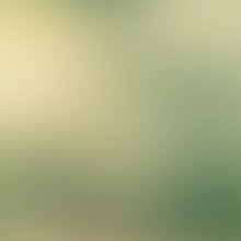 Nicholas Opalich’s Profile | LinkedIn, Medium, Kivo Daily Journalist | Muck Rack