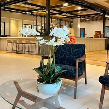 Kayleigh Ruller’s Profile | Freelance Journalist | Muck Rack