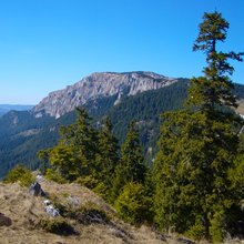 Robin Whitlock’s Profile | Freelance Journalist | Muck Rack