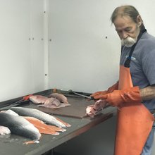 Madeleine Rowley’s Journalist Portfolio | Muck Rack