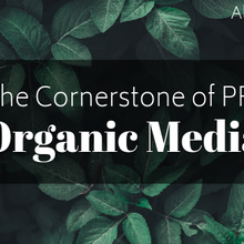 Alcides Segui’s Profile | WFLD-TV (Chicago, IL), WTVT-TV (Tampa, FL ...
