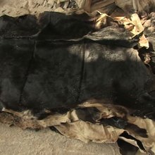 Suranjana Tewari’s Profile | BBC Journalist | Muck Rack