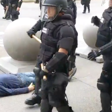 Patricia Patnode’s Profile | The Competitive Enterprise Institute (CEI ...