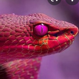 Bryan Brake’s Profile | BrakeSec Education Podcast (Podcast) Journalist ...