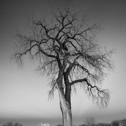 David Plotz’s Profile | Political Gabfest, City Cast Journalist | Muck Rack