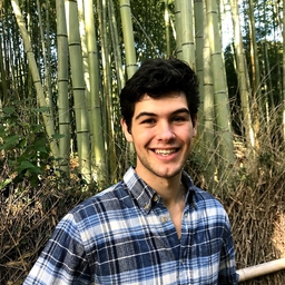 Nicholas Leone’s Profile | Rai News24 Journalist | Muck Rack