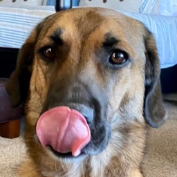 Mike Pomeranz’s Profile | MLB Journalist | Muck Rack