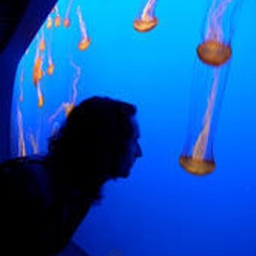 Matt Krupnick’s Profile | Freelance Journalist | Muck Rack