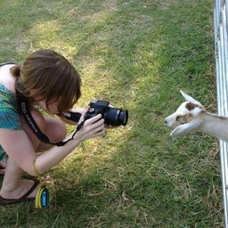 Brianne Garbutt’s Profile | MSN (US), Screen Rant Journalist | Muck Rack