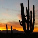 Jennifer Jett’s Profile | NBC News Journalist | Muck Rack