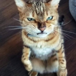 David Gordon Duke’s Profile | Vancouver Sun Journalist | Muck Rack