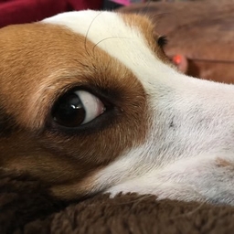 Kym Clark’s Profile | WMC-TV (Memphis, TN) Journalist | Muck Rack