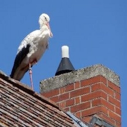 Geir Moulson’s Profile | Associated Press Journalist | Muck Rack