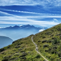 Philippe Bernard’s Profile | Le Monde Journalist | Muck Rack