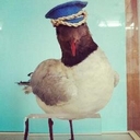 Miriam Coleman’s Profile | Freelance Journalist | Muck Rack