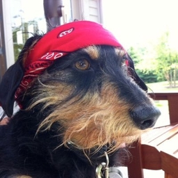 Vince Condella’s Profile | WITI-TV (Milwaukee, WI) Journalist | Muck Rack