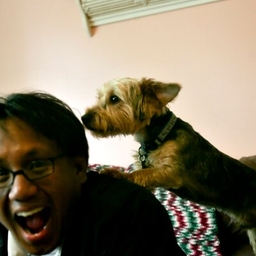 Joseph Bustos’s Profile | The State Journalist | Muck Rack